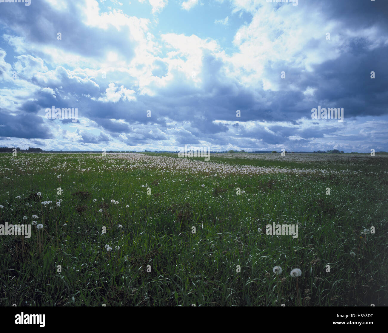 Estonia, Kallaste, scenery, Europe, north-east, Europe, the Baltic ...