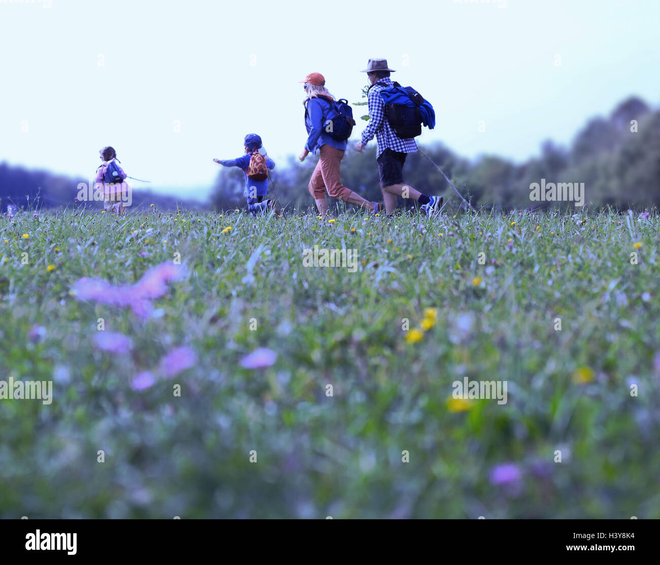 Meadow, family, walk, side view, parents, nut, father, children, two ...