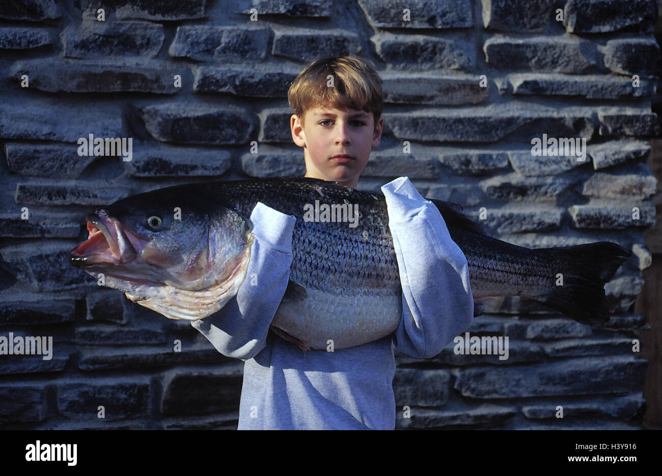 Boy, fish, largely, hold, anglers, fish, fishing, fish, stone defensive ...