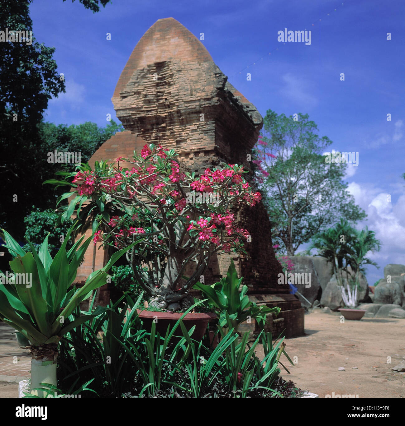 Ponagar tower hi-res stock photography and images - Alamy