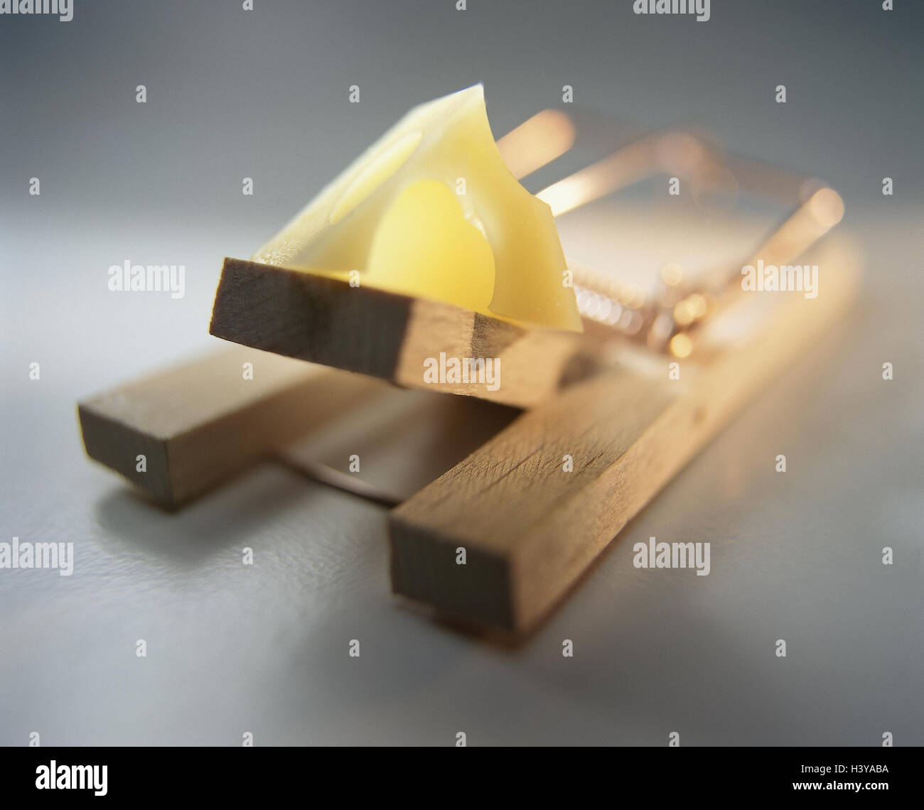 Mousetrap, tensely, cheese, Still life, product photography, case, blow ...