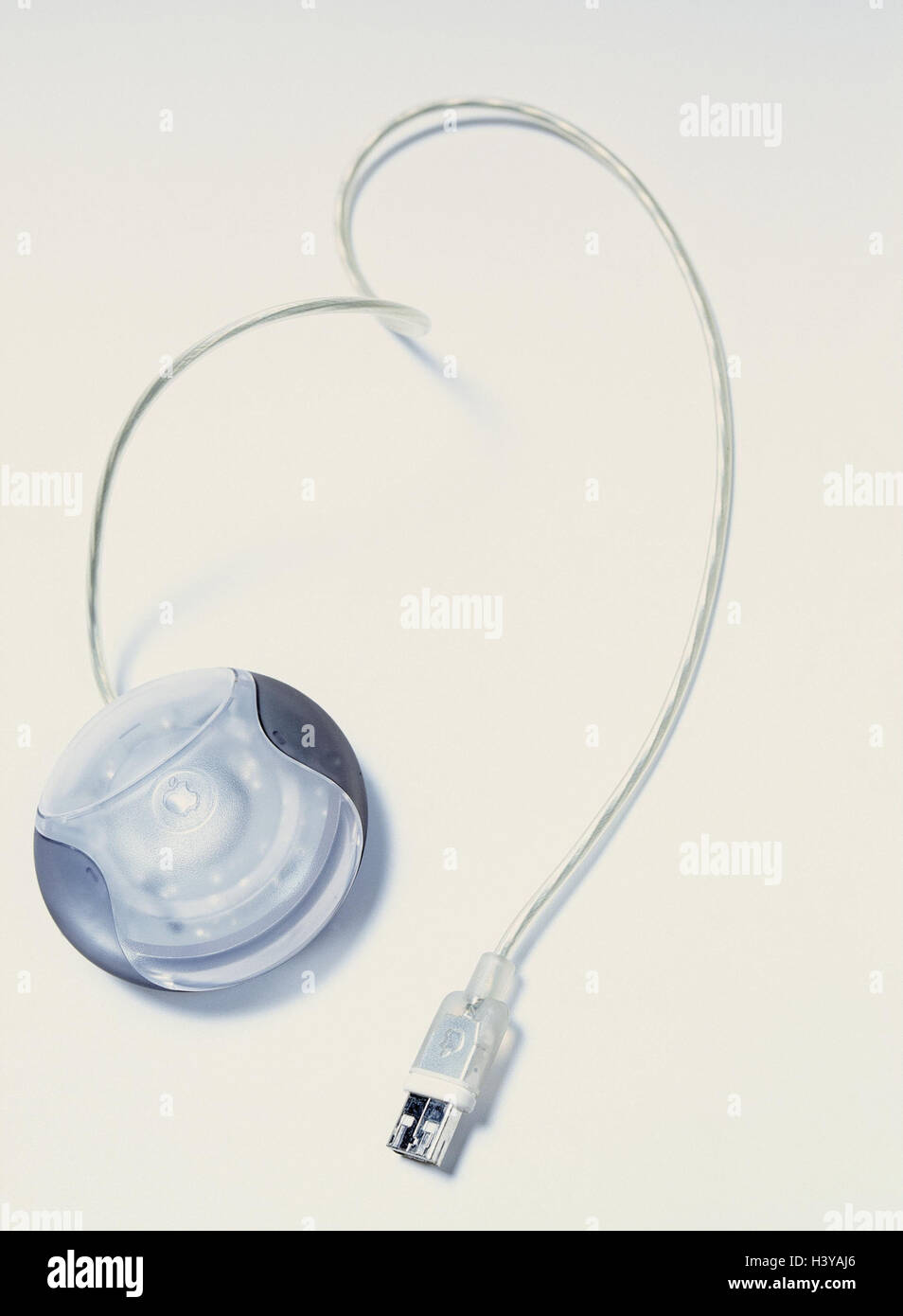 Computer Mouse Detail Mouse Computer Mouse Computermouse Mouse Data Processing Mouse