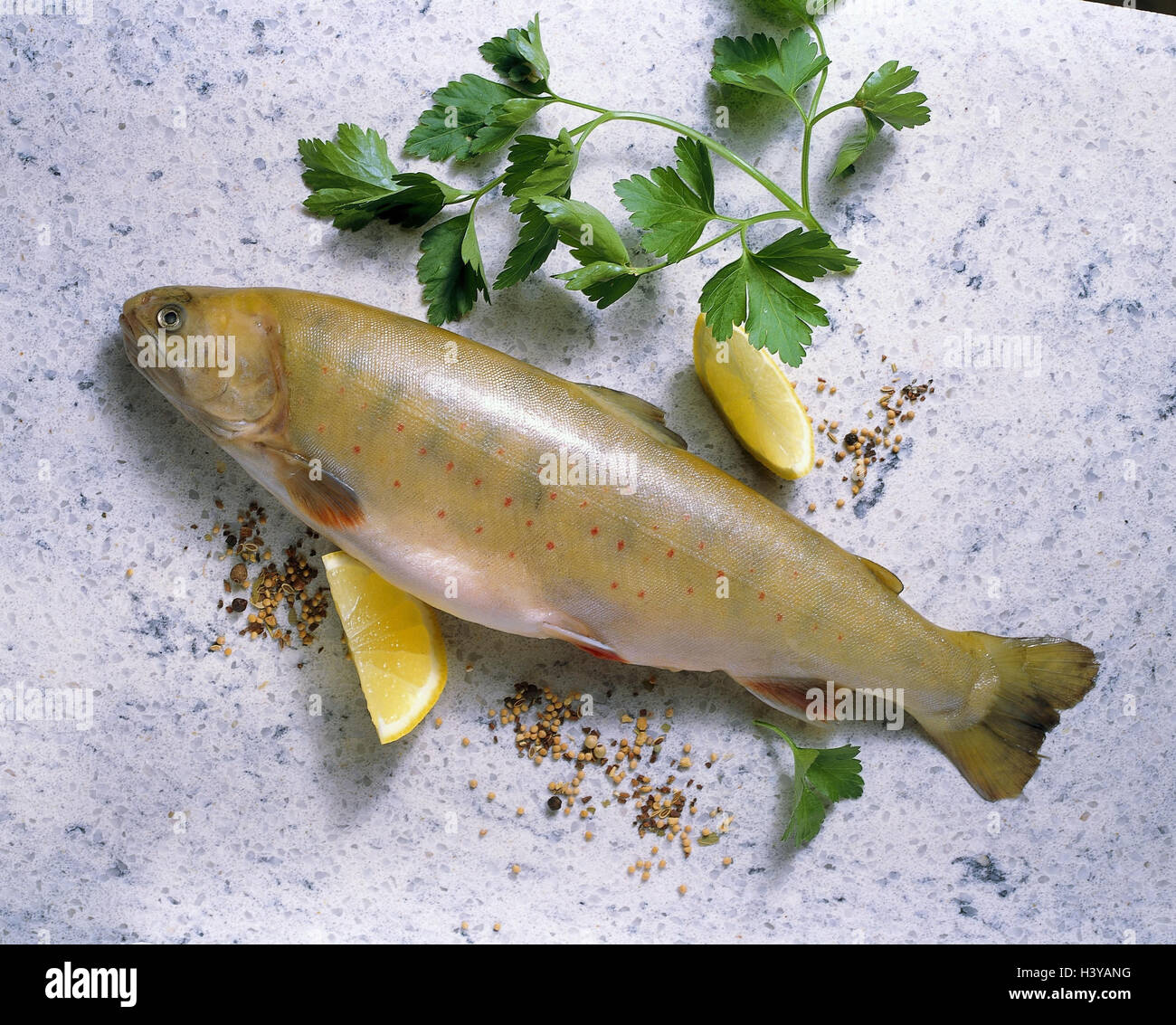 Brook char, parsley, lemon, fish, char, fish dish, herbs, spice, herbs ...