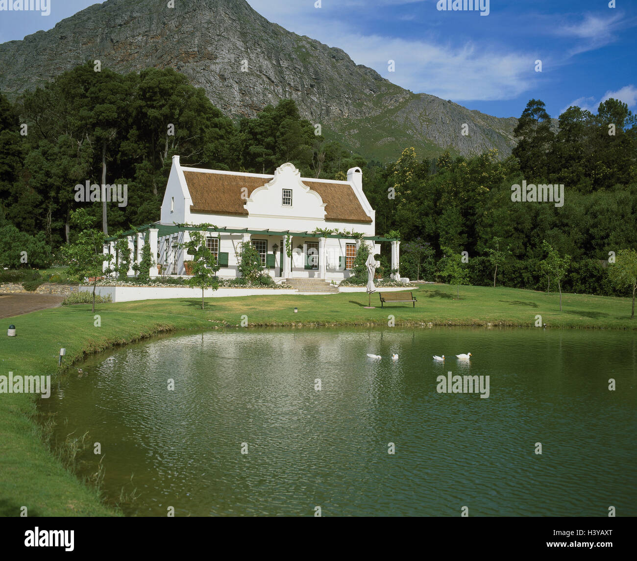 South, Africa, cape region, Franschhoek, vineyard, pond, Africa, west ...