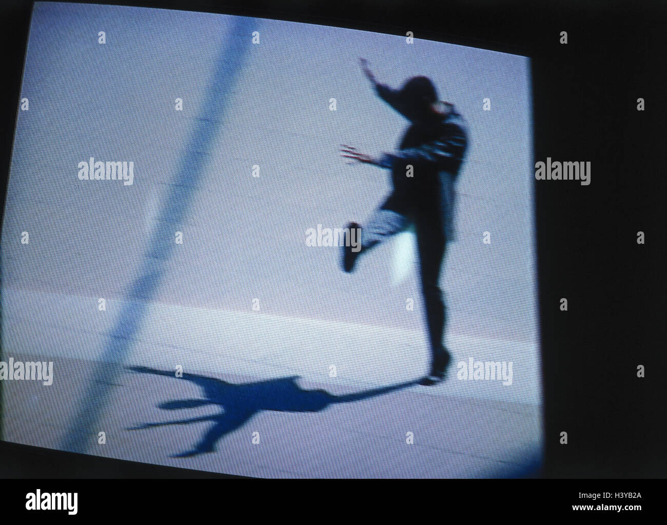 Monitor, image transmission, manager, motion, shadow game, monitoring ...