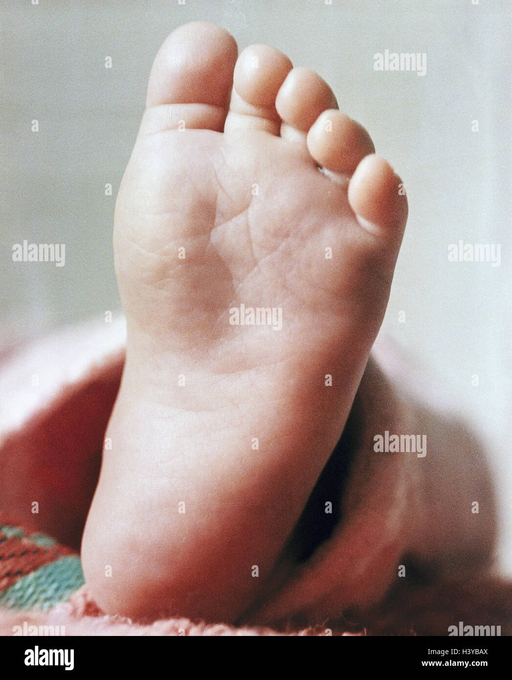 Barefoot course hi-res stock photography and images - Alamy