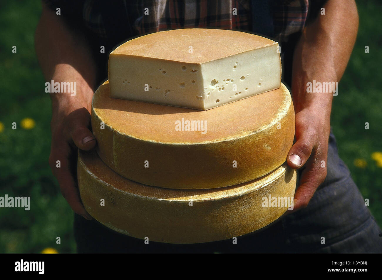 Man, detail, mountain cheese, Germany, bathing, Black Forest, cheese ...