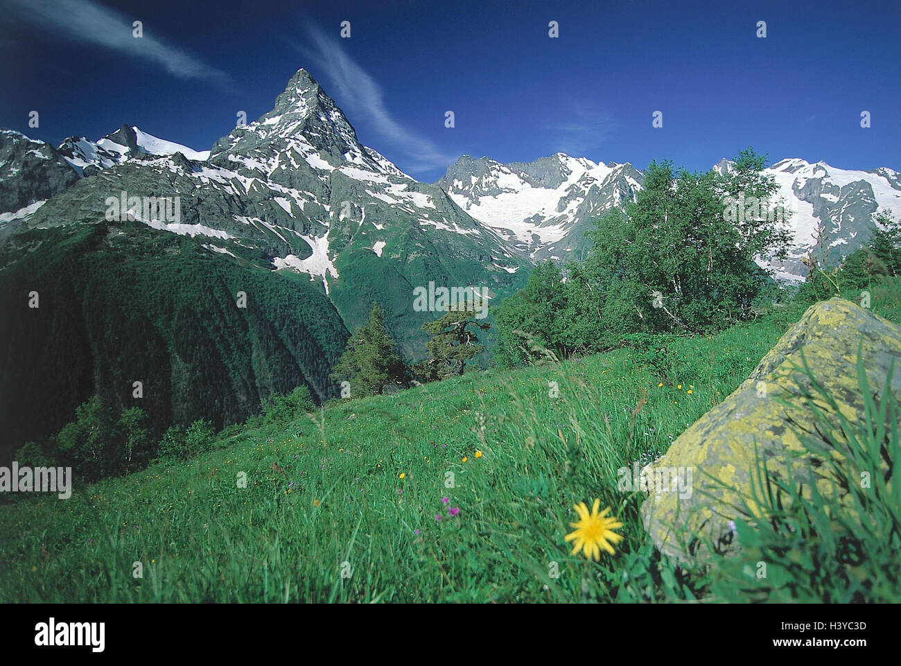 Russia, the Caucasus, national park Teberda, outside, scenery, central ...