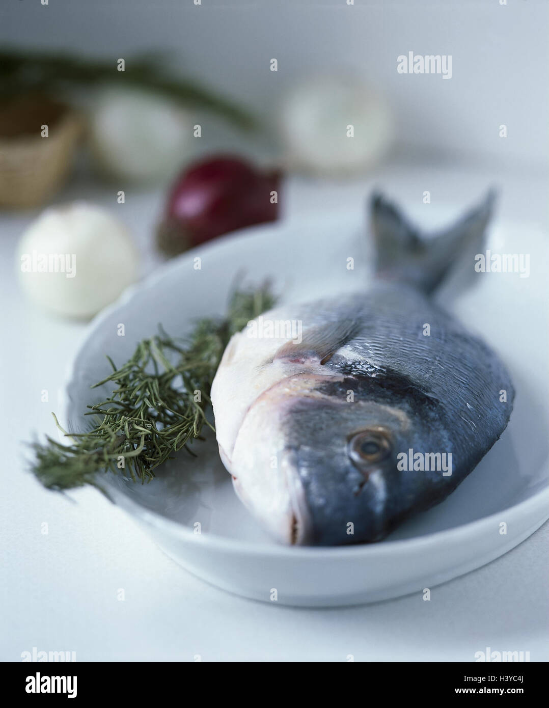 Plate, food fish, Dorade, Still life, cooking, food, preparation ...
