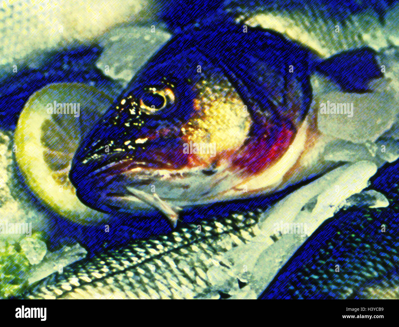 Food fish, sea wolf, Loup de Mer, ice, close up, Still life, food, eat ...