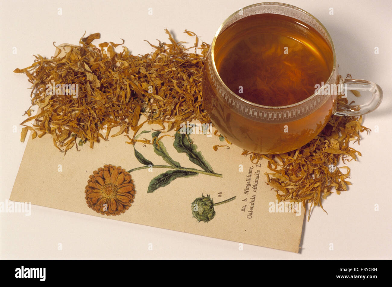 Tea glass, blossoms, marigold tea, Calendula officinalis, Still life ...