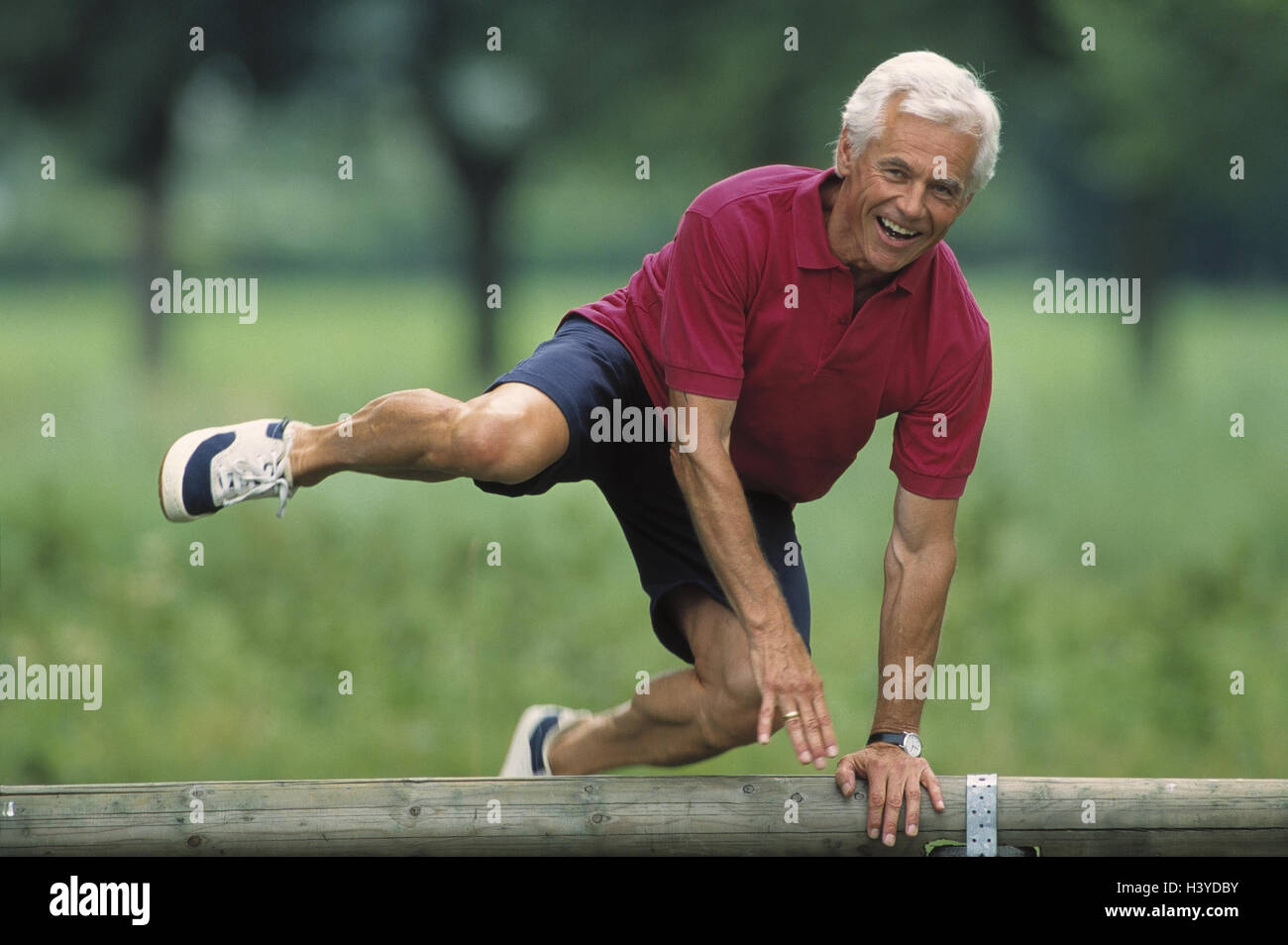Meadow, railing, man, crack, model released, outside, summer, middle ...