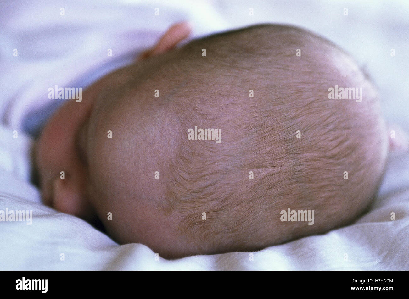 Baby, sleep, detail, very close, child, infant, newborn child, head ...