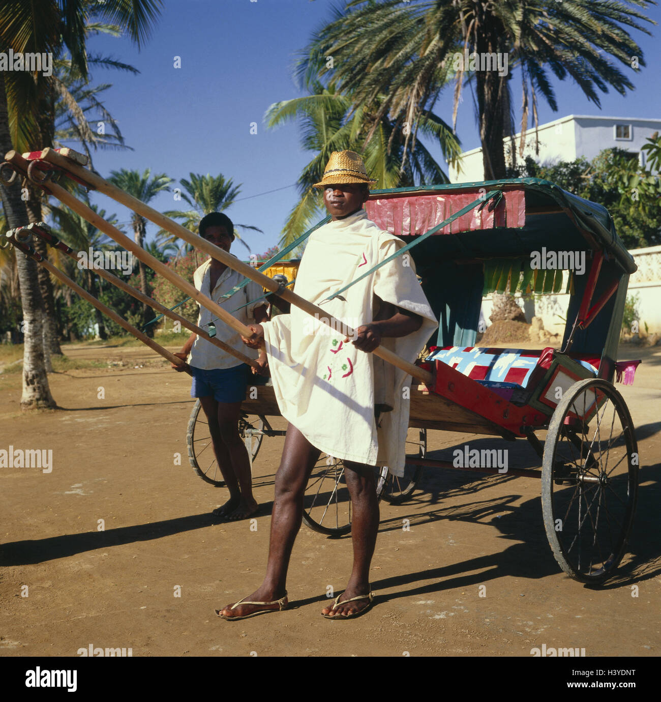 Madagascar, Toliara, ricksha driver, palms, transport carriages ... Madagascar, Toliara, ricksha driver, palms, transport carriages ...