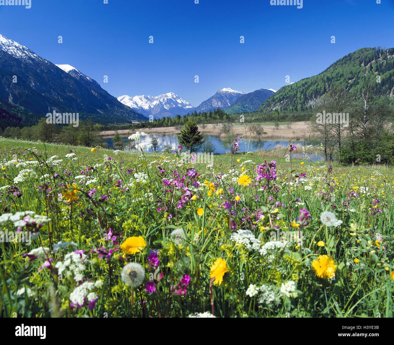 Season seven hi-res stock photography and images - Alamy