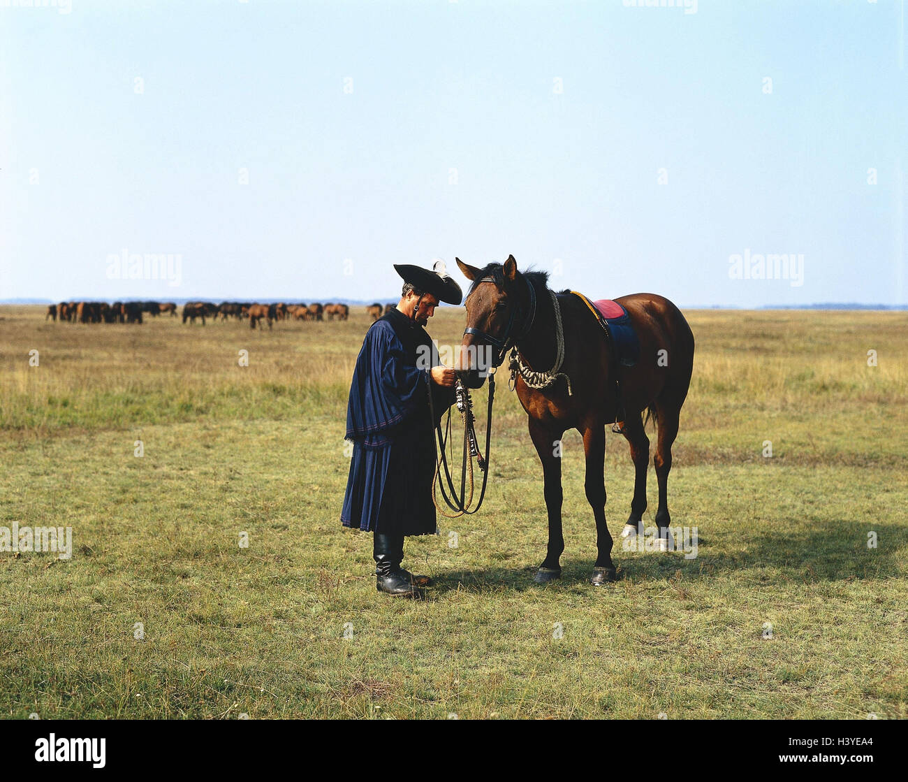Hungary, Hortobagy-Puszta, horse's shepherd, Europe, Puszta, nature ...