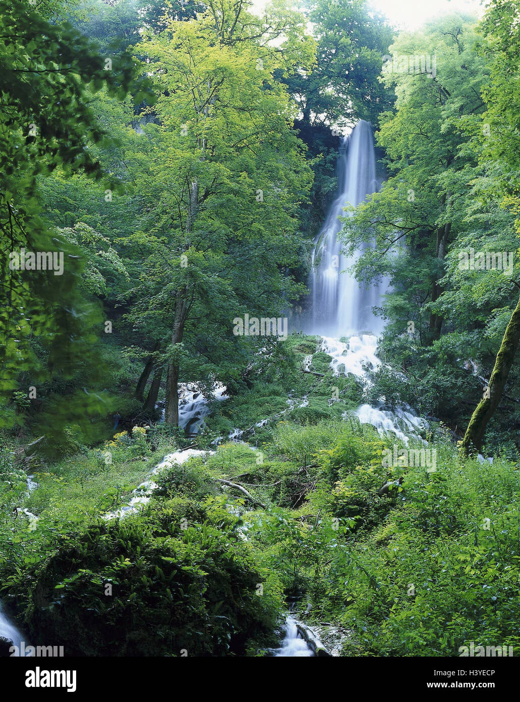 Germany, Swabian nightmare, bath Urach, wood, waterfall, Europe, Baden ...