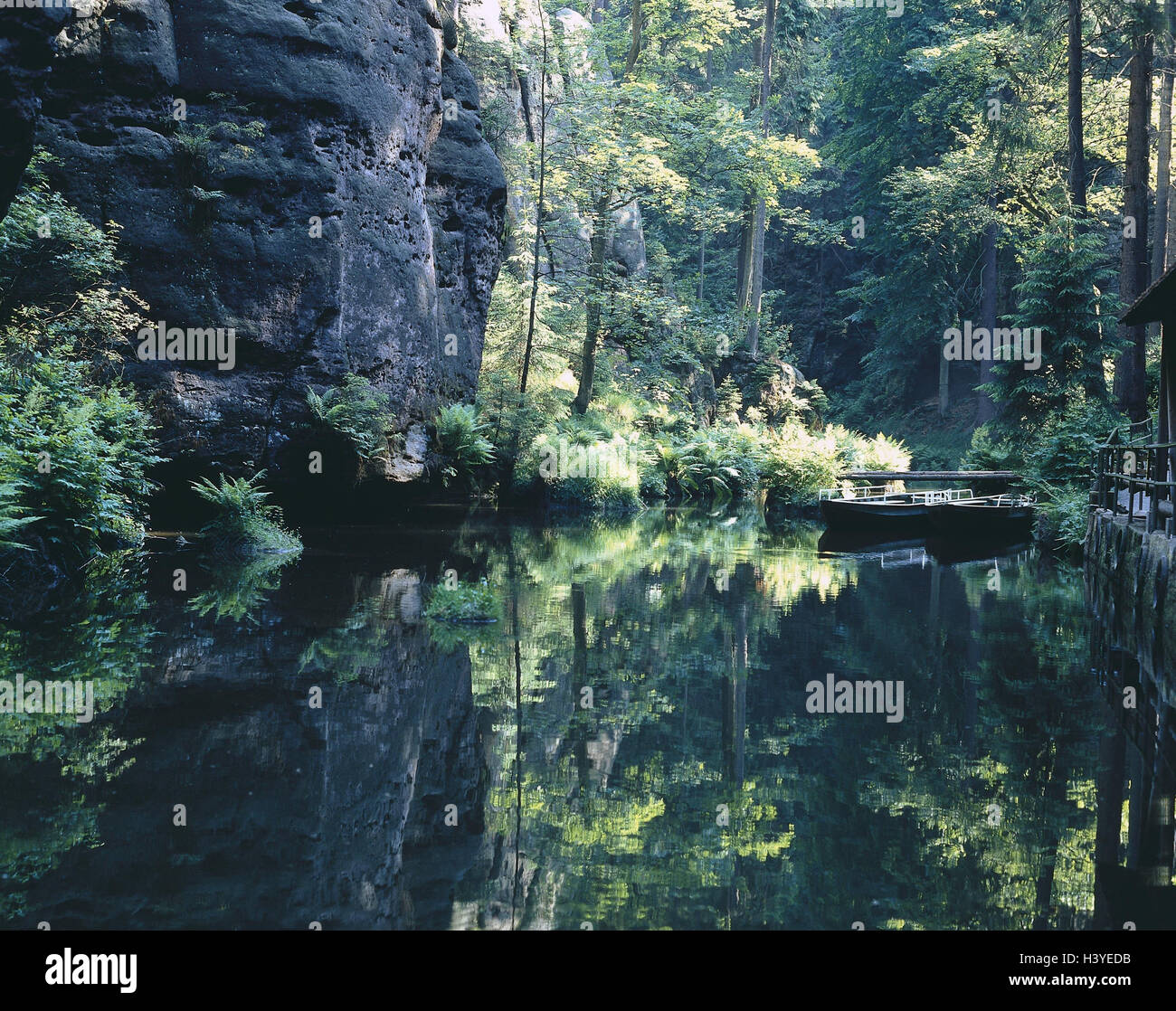Germany, Elbsandsteingebirge, rear sluice, lake, wood, lumen, waters ...