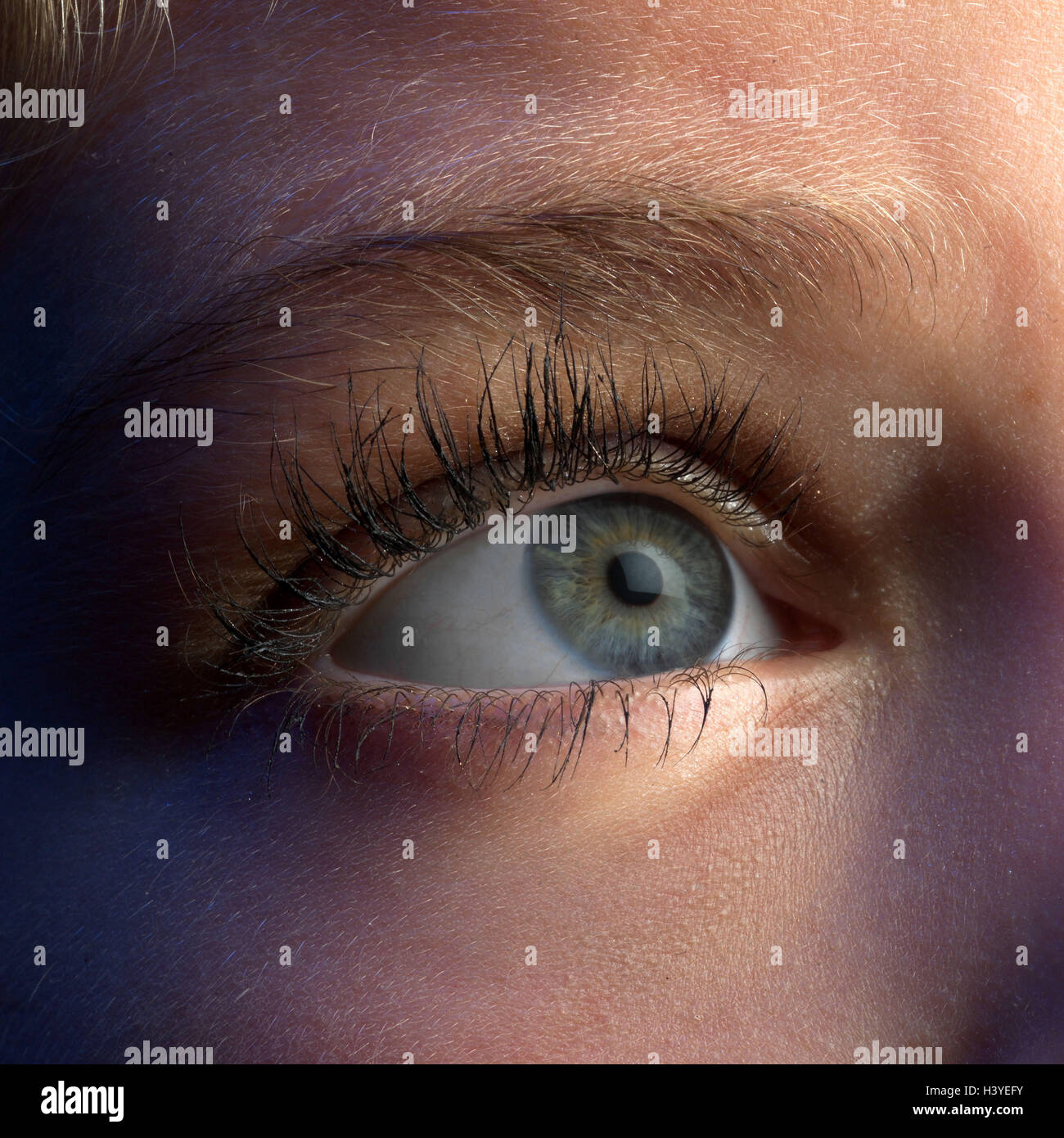 Woman, look, detail, eye young, eye area, blue eyes, view, up ...