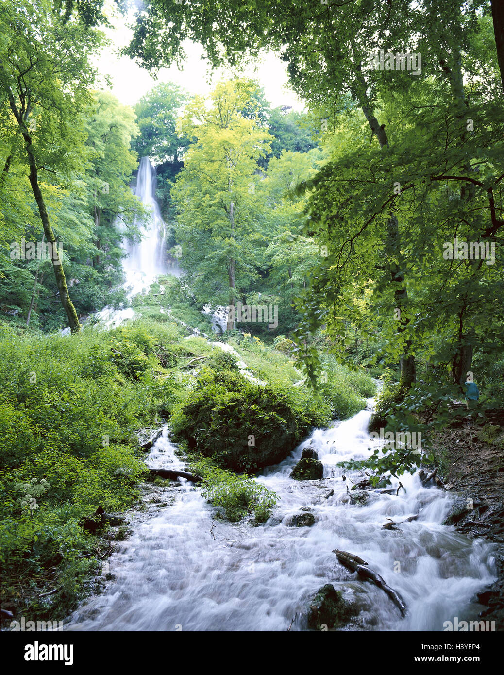 Germany, Swabian nightmare, bath Urach, wood, waterfall, Europe, Baden ...