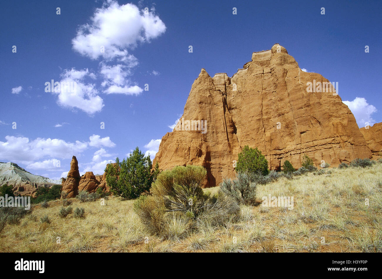 The USA, Utah, to coda chrome Basin State park, bile formation America ...
