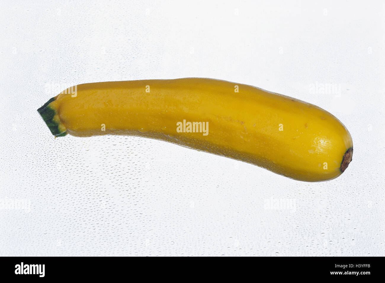 Courgette, yellow, Cucurbita spec., yellow courgette or yellow ...