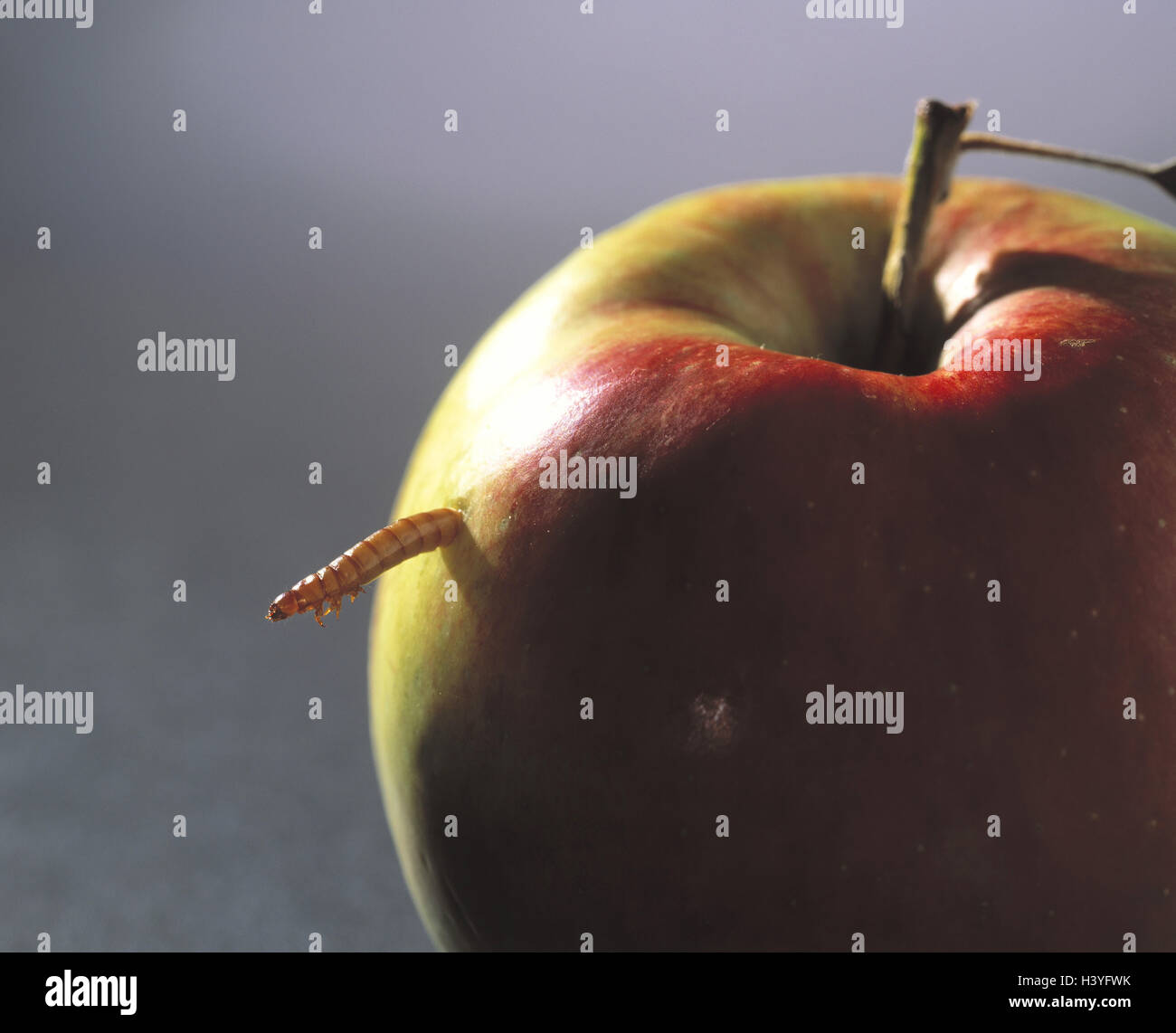 Clay Apple With Worm