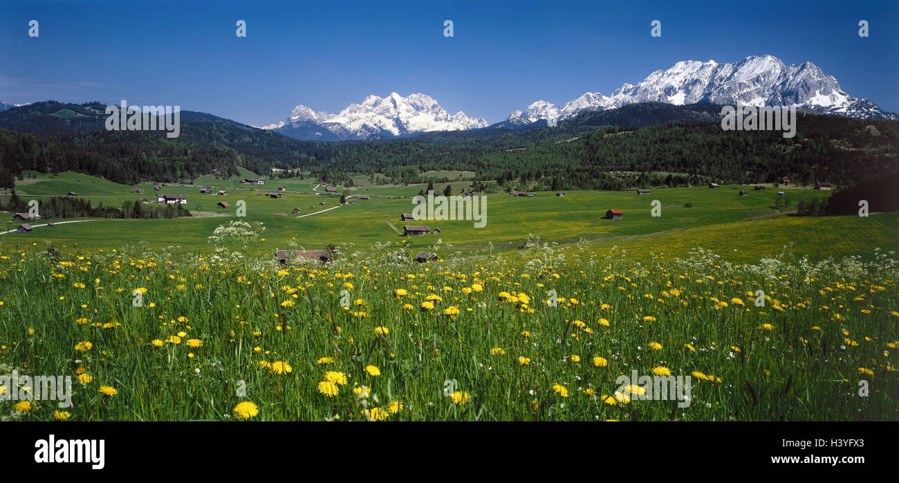 Germany, Bavaria, Werdenfels, spring meadow, Wetterstein Range, South ...