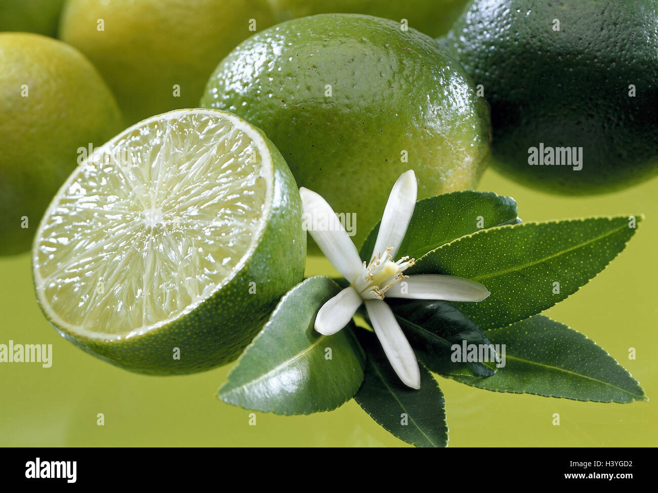 Agrumen High Resolution Stock Photography and Images - Alamy