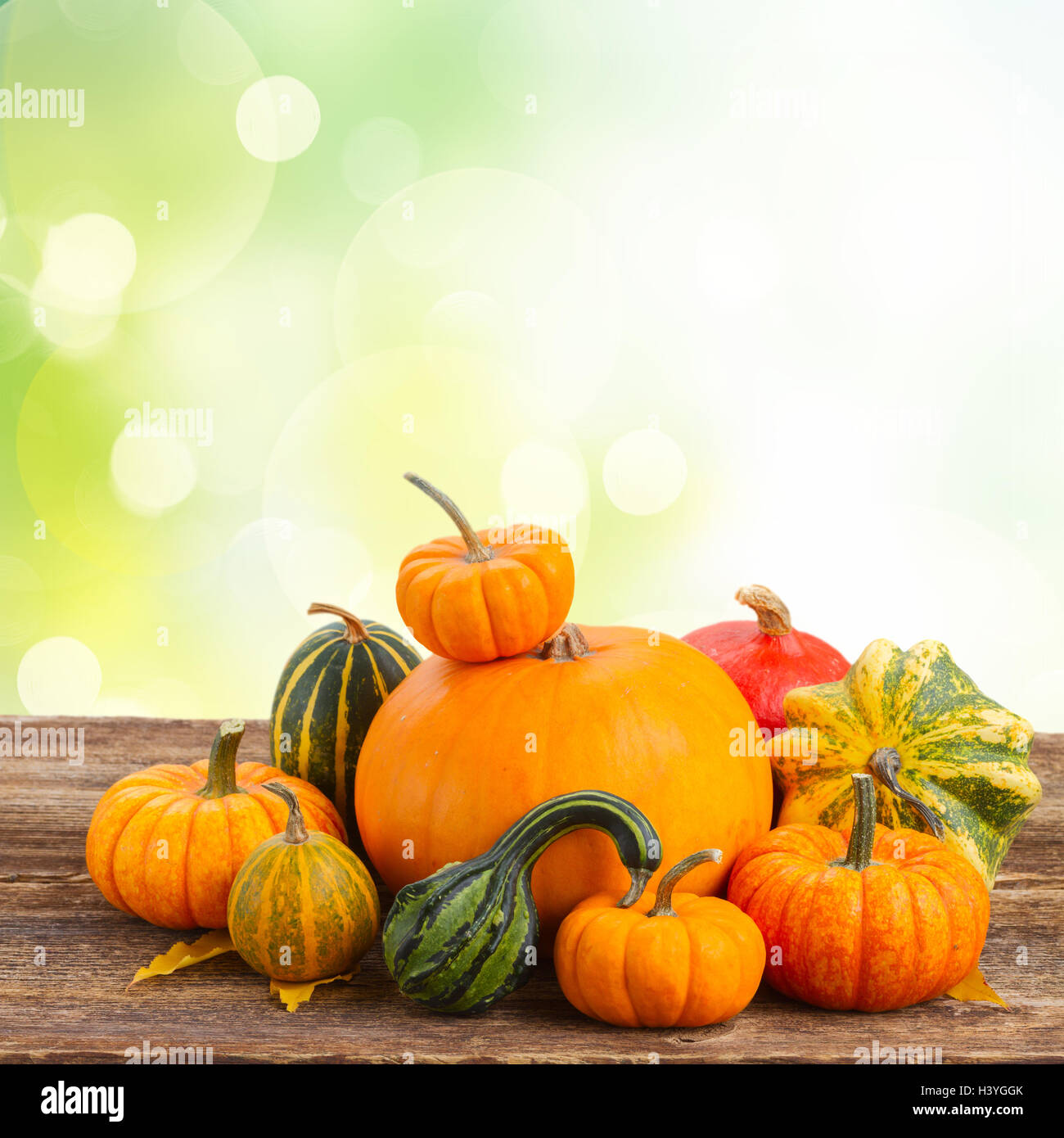 pumpkin on table Stock Photo - Alamy