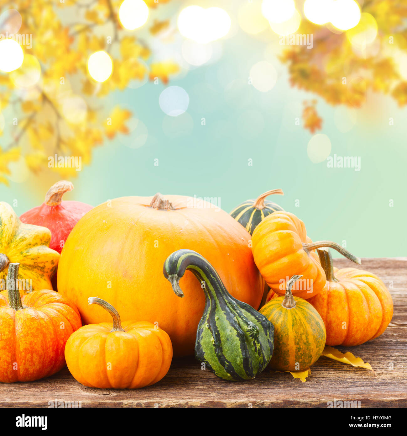 pumpkin on table Stock Photo - Alamy