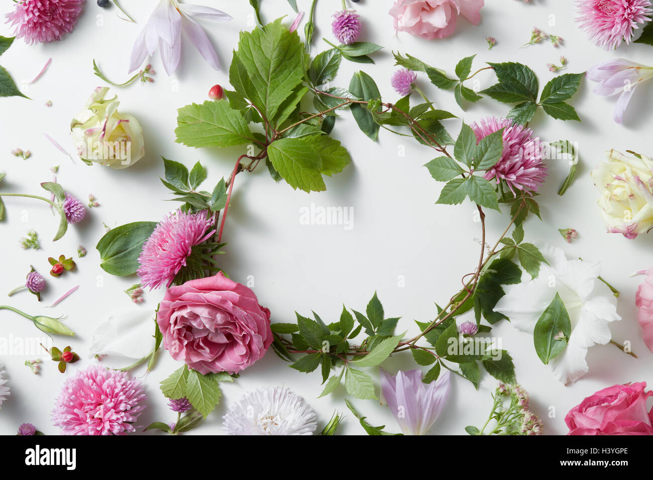 Provence frame of pink flowers Stock Photo - Alamy