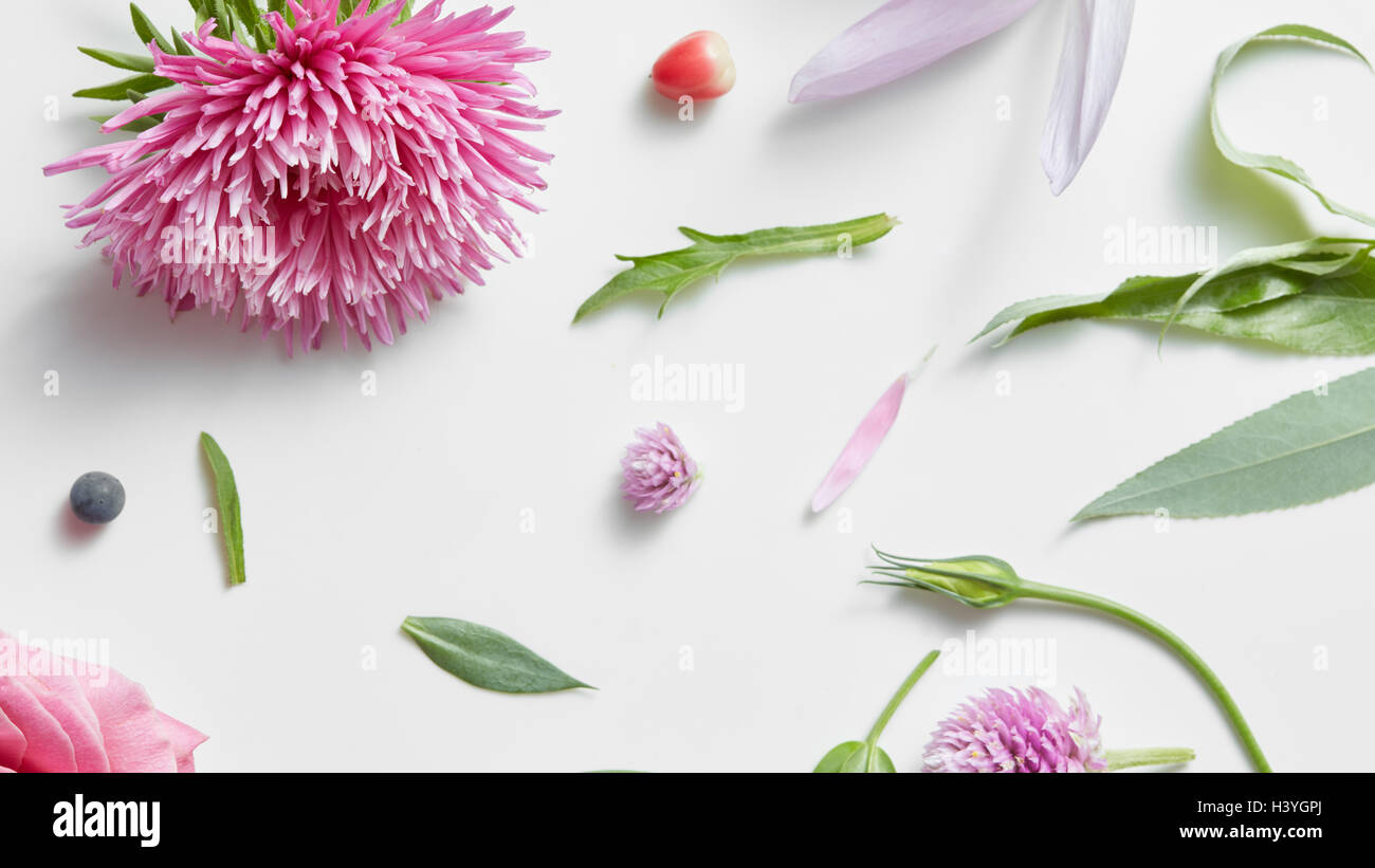 Photo collage for floral design Stock Photo - Alamy