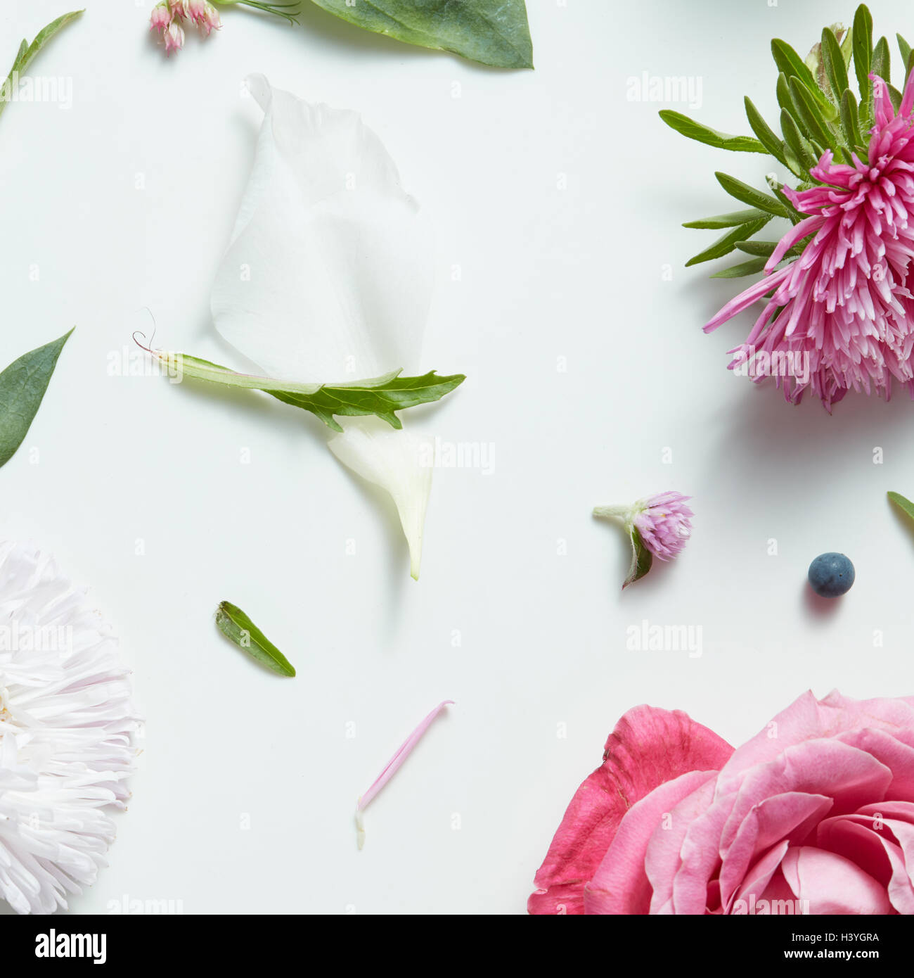 Photo collage for floral design Stock Photo - Alamy