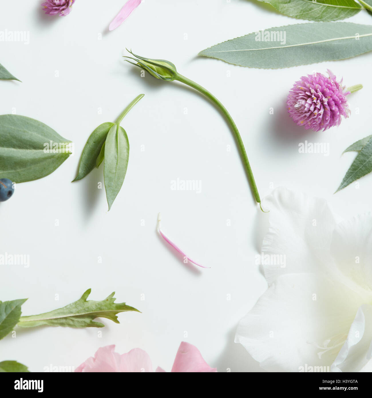 Repeating rose floral background hi-res stock photography and images ...
