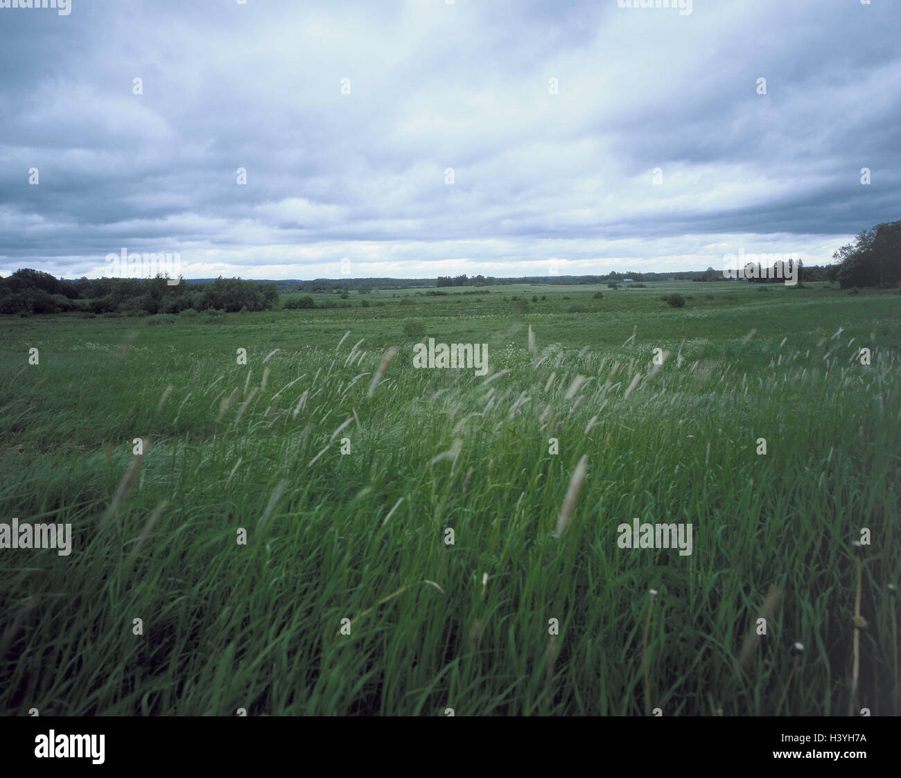 Estonia, "Estonian Switzerland", scenery, Europe, north-east, Europe ...