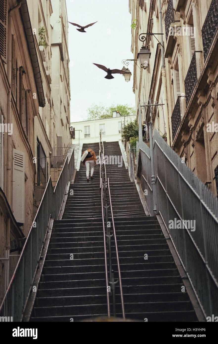 France, Paris, part town Montmartre, lane, stairs rising, pedestrian ...