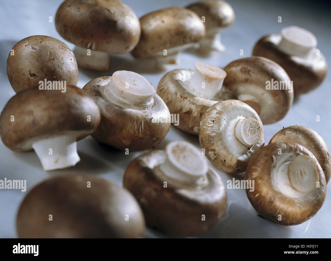 Champignons, brown, brown champignons, chestnut mushrooms, Agaricus ...