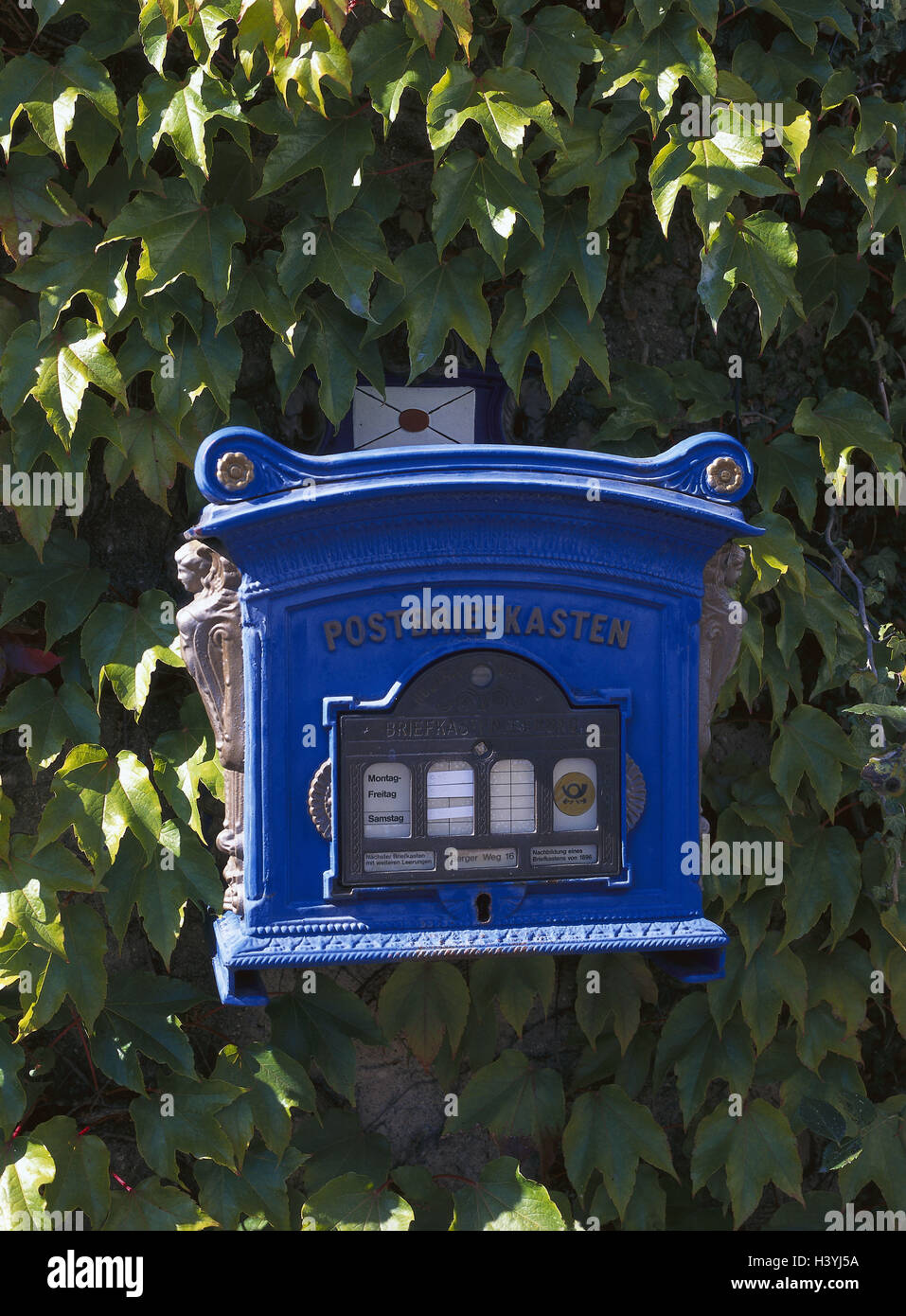 More poorly, wild wine, postal mailbox, old, nostalgically, blue ...