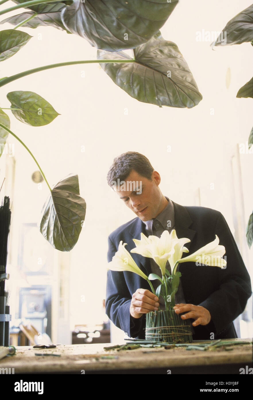 Flower shop, florist, flower arrangement, lilies, man, young ...