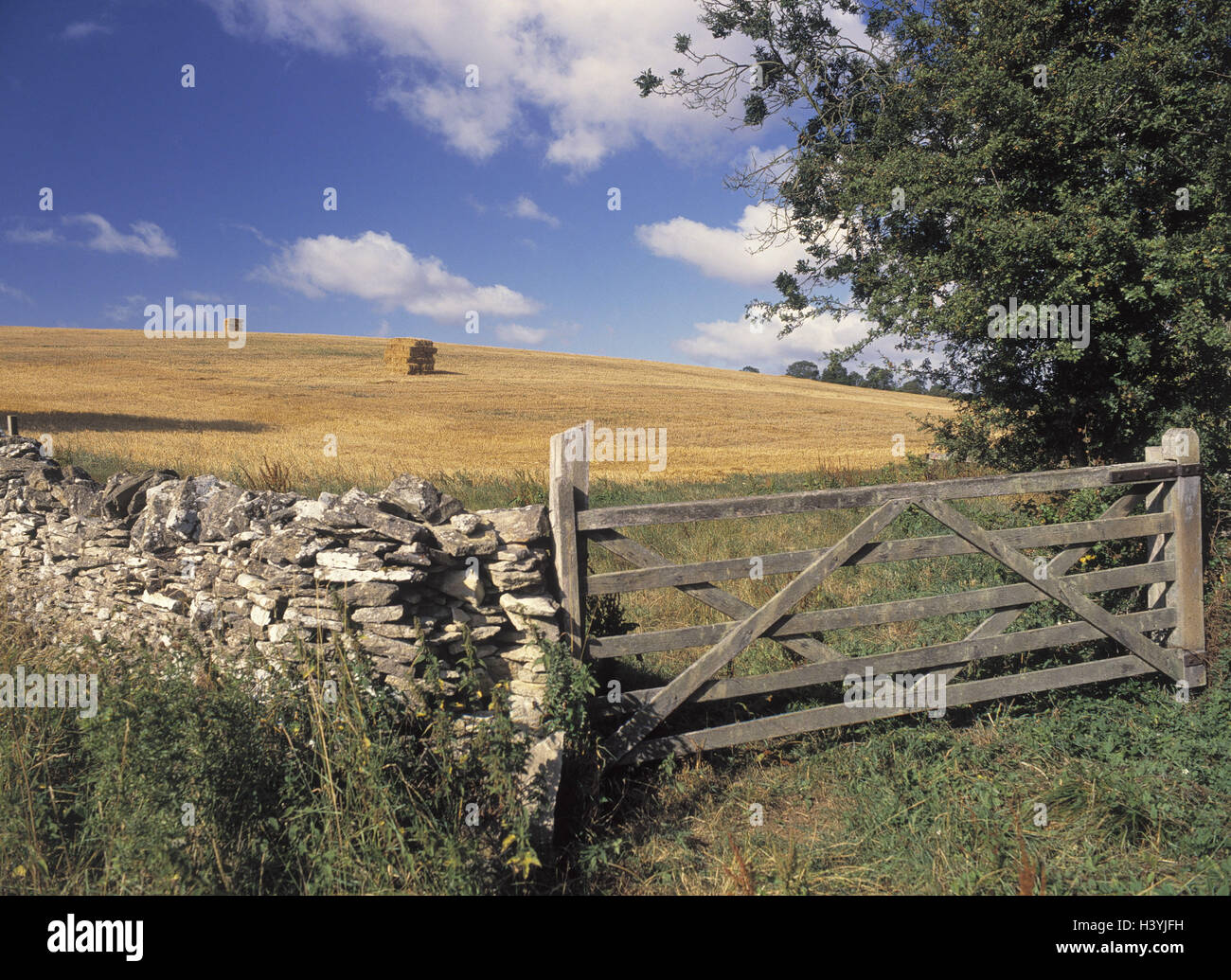 Great Britain, England, Gloucestershire, Bibury, Furzey Barn, farm ...