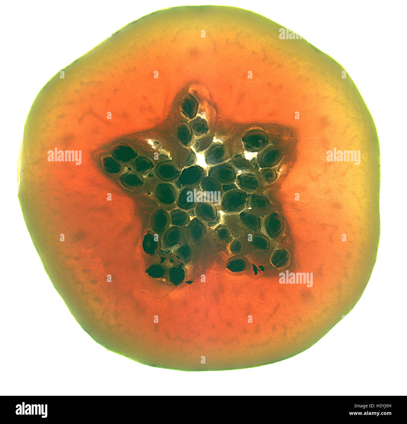 Papaya slice, close up, papaya, Carica papaya, slice, flesh, orange ...