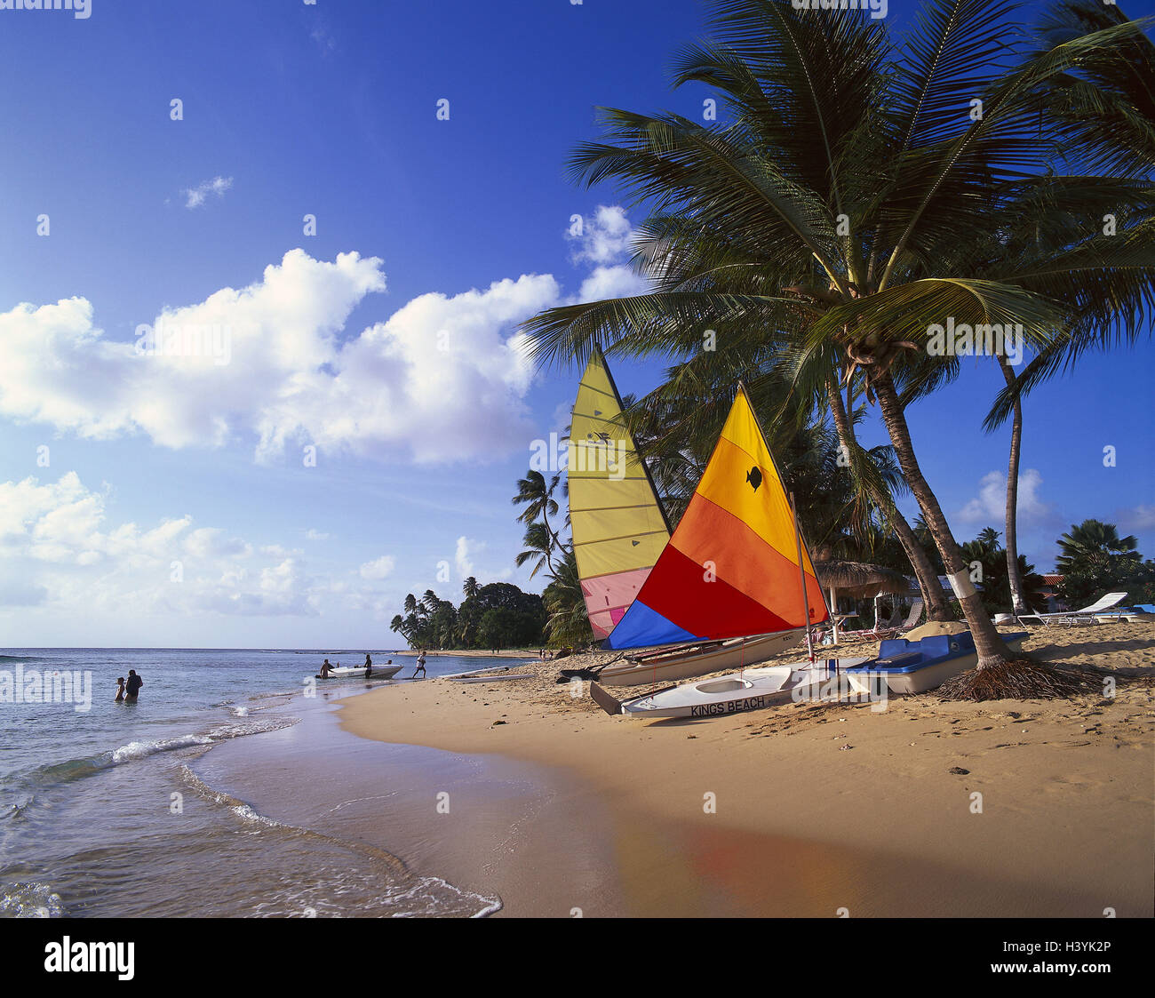 Barbados, west coast, Mullins Bay, palm beach, boots, catamaran ...