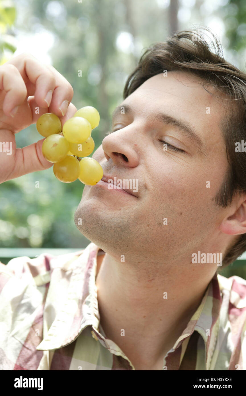 Man, grapes, eat, consumption, portrait, summer, man's portrait, single ...