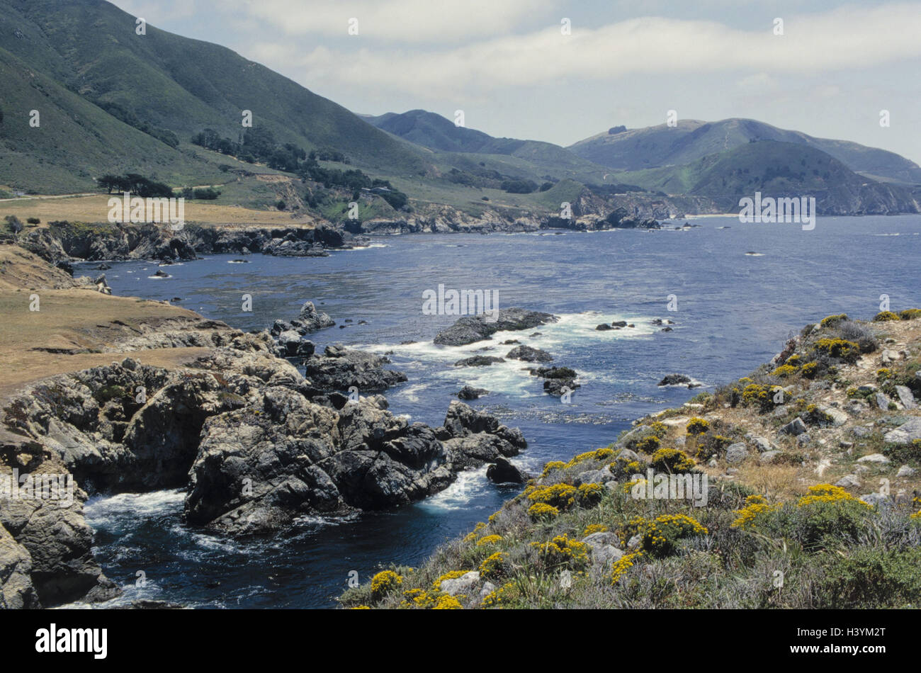 The USA, California, Monterey, Rocky Point, bile coast America, North ...