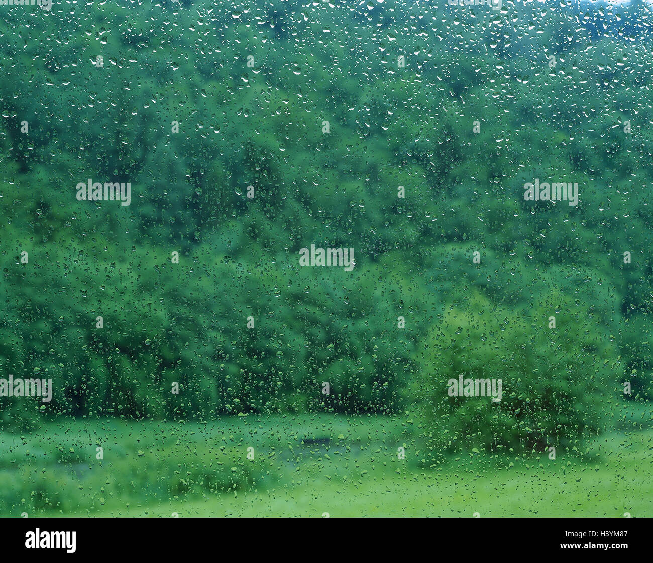 Window pane, wet, view, wood, window, windowpane, drop water, raindrop ...