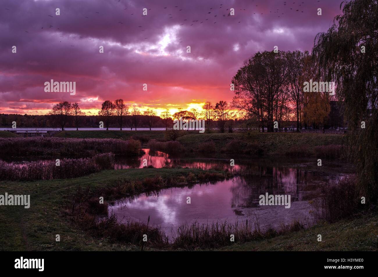 Riot of colours like atomic explosion sunset Stock Photo - Alamy