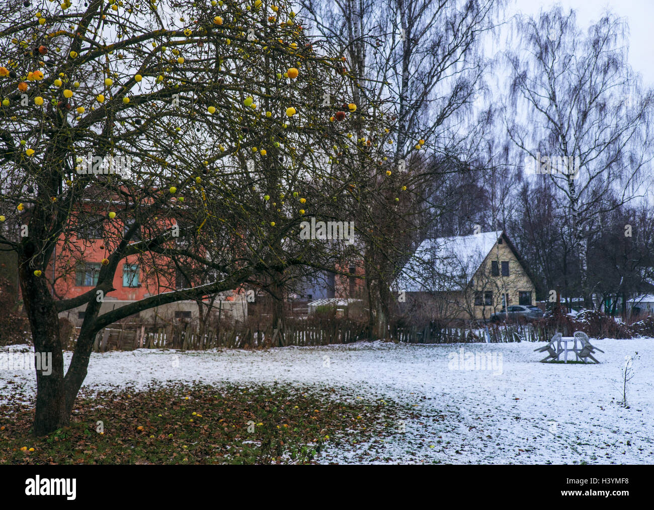 When autumn turns into winter like magic Stock Photo - Alamy