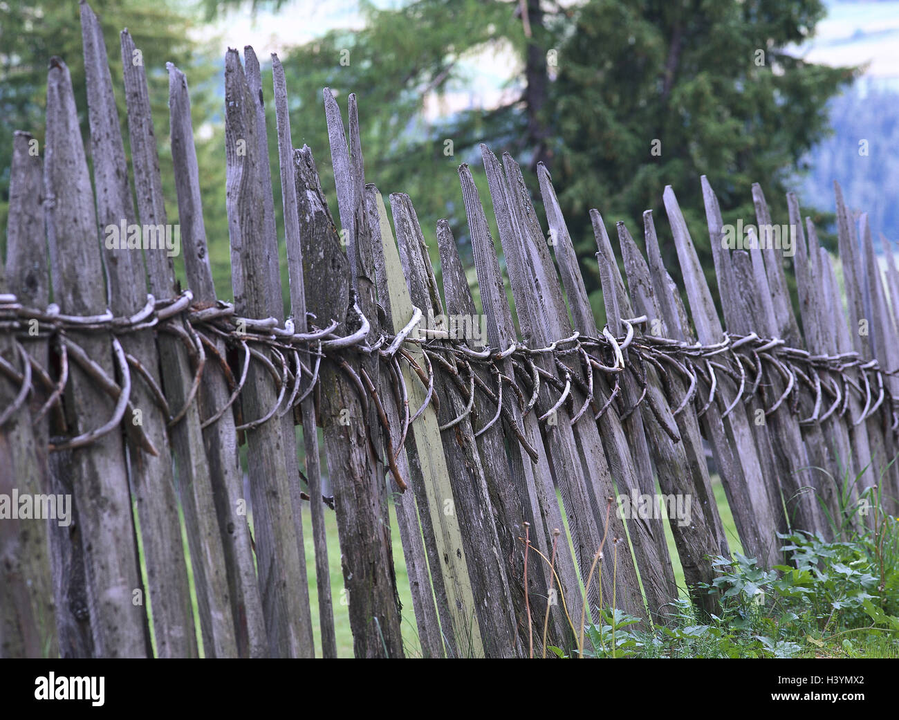 Italy, South Tyrol, Villnößtal, wooden fence, rurally, old, trees ...