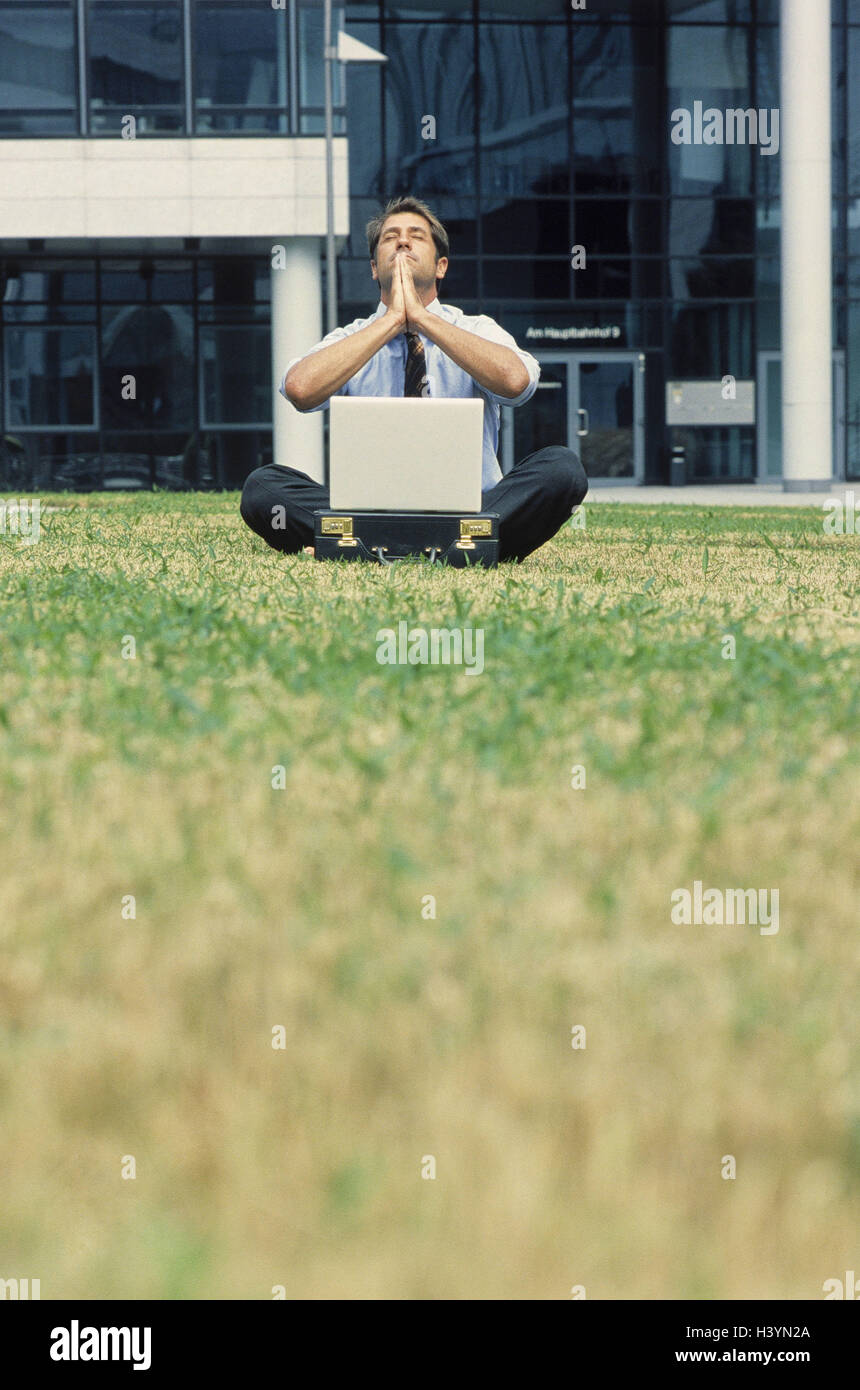 Meadow, businessman, gesture, pray, laptop, business premises ...